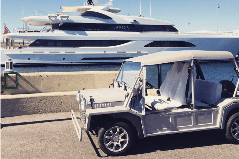 Buggy Motors – BeachBuggy | BuggyCar | Renli OffRoad | Joyner | Royal Alloy